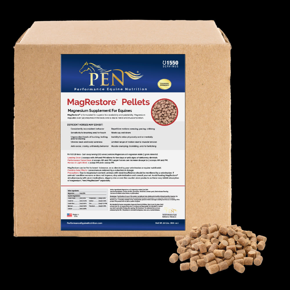 MagRestore - Equine Magnesium Supplement