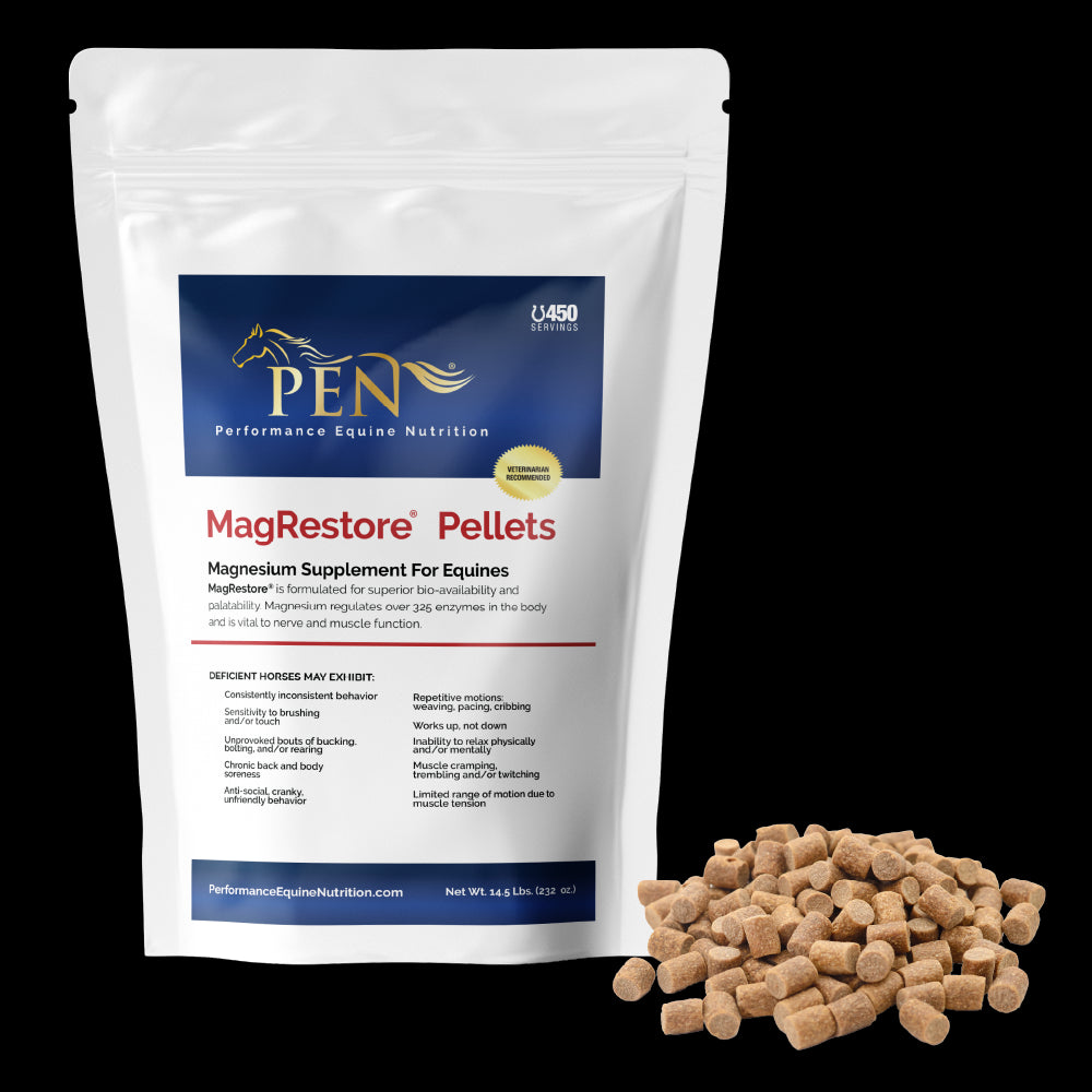 MagRestore - Equine Magnesium Supplement